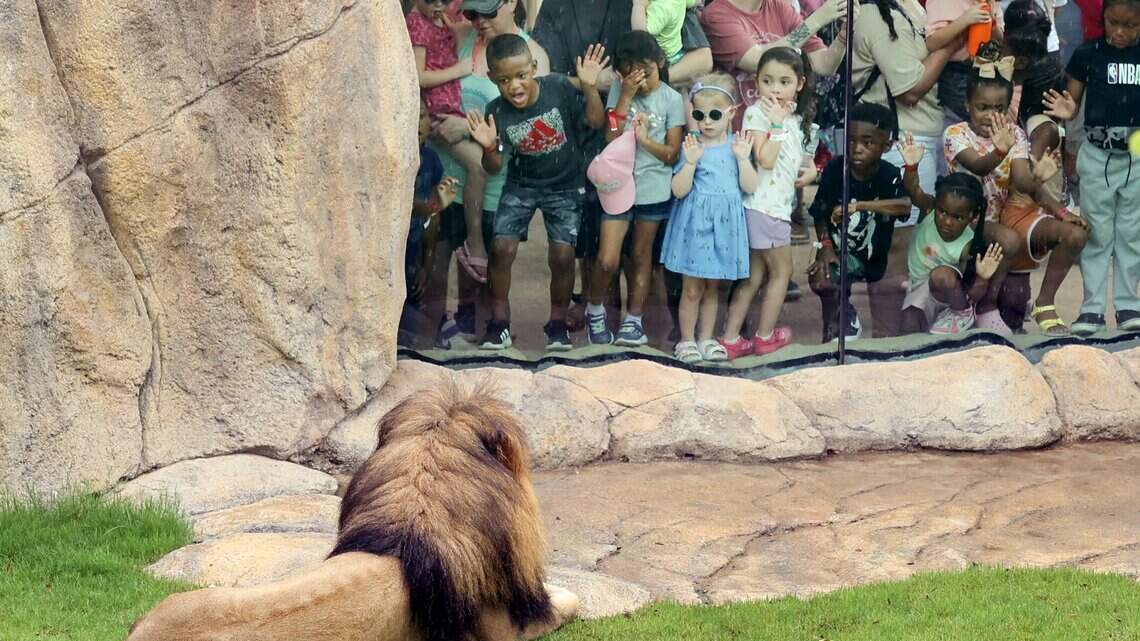 What to expect at the Fort Worth Zoo during spring break | Fort Worth ...