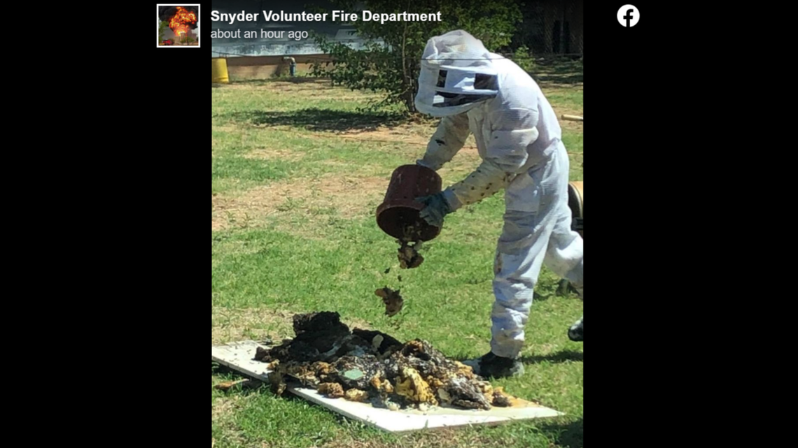 Hive destroyed after man attacked by bees in TX: firefighter ...