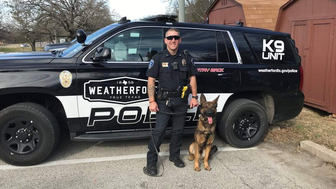 Weatherford, TX police starts K9 program with first officer | Fort ...