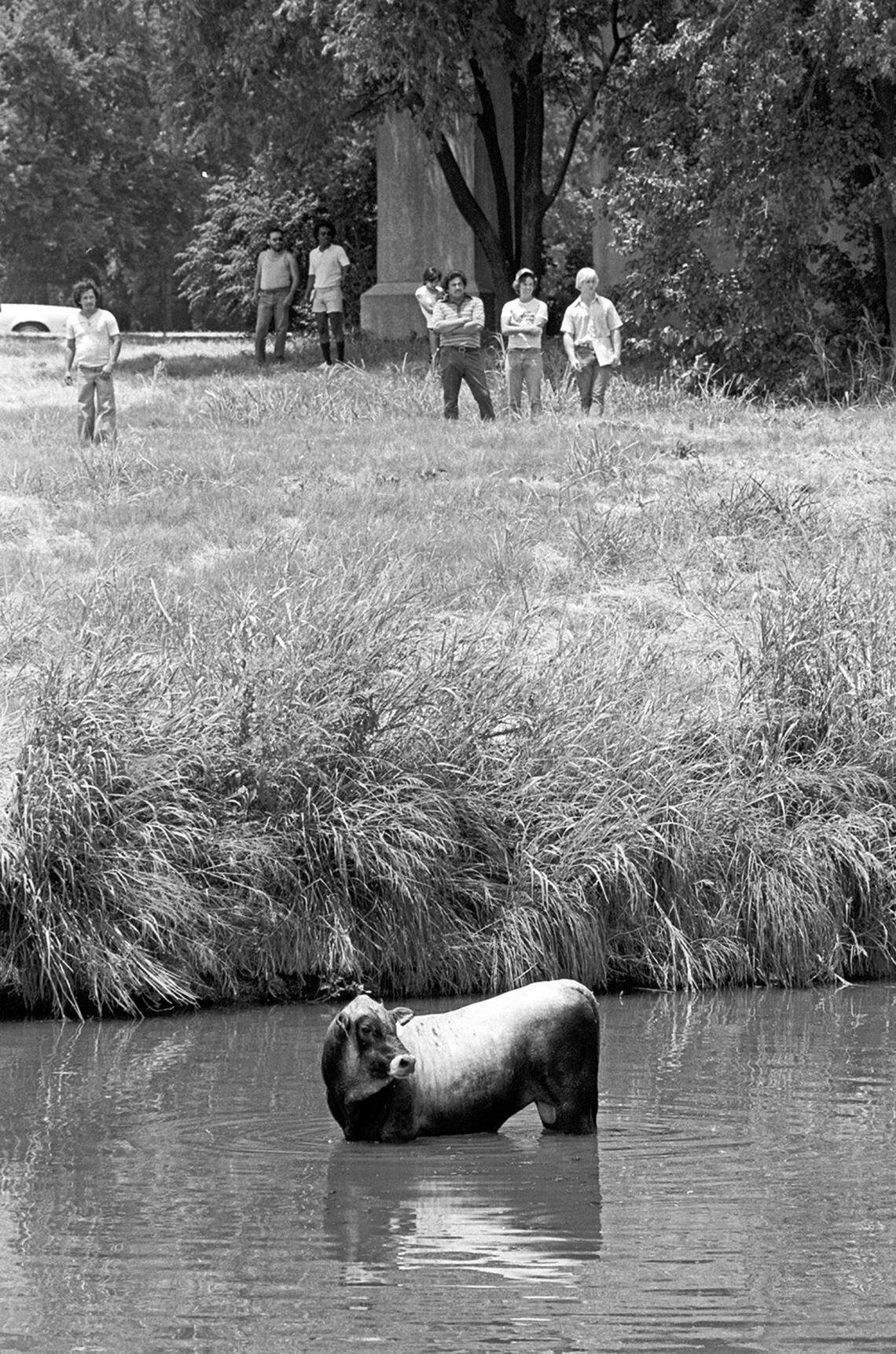 Photos of 1980 Texas heat wave seen for 1st time in 43 years | Fort ...