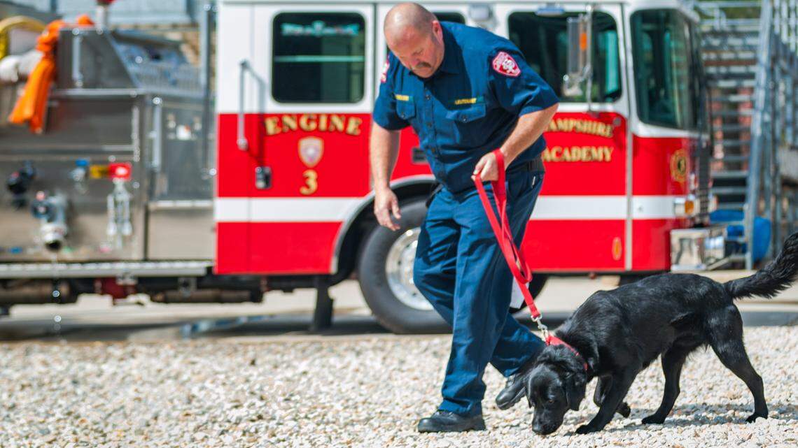 Arson dog, Saginaw TX firefighter sniff out suspicious fires | Fort ...