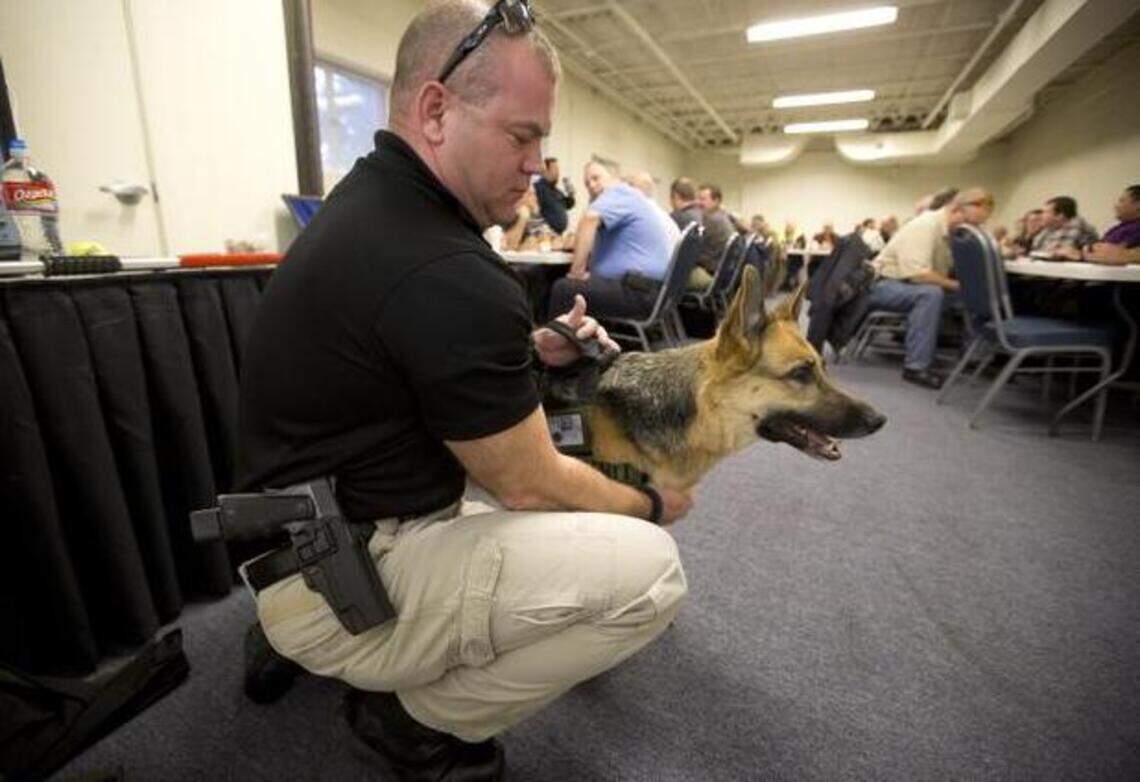 Cleburne officer cleared in fatal shooting of pit bull | Fort Worth ...