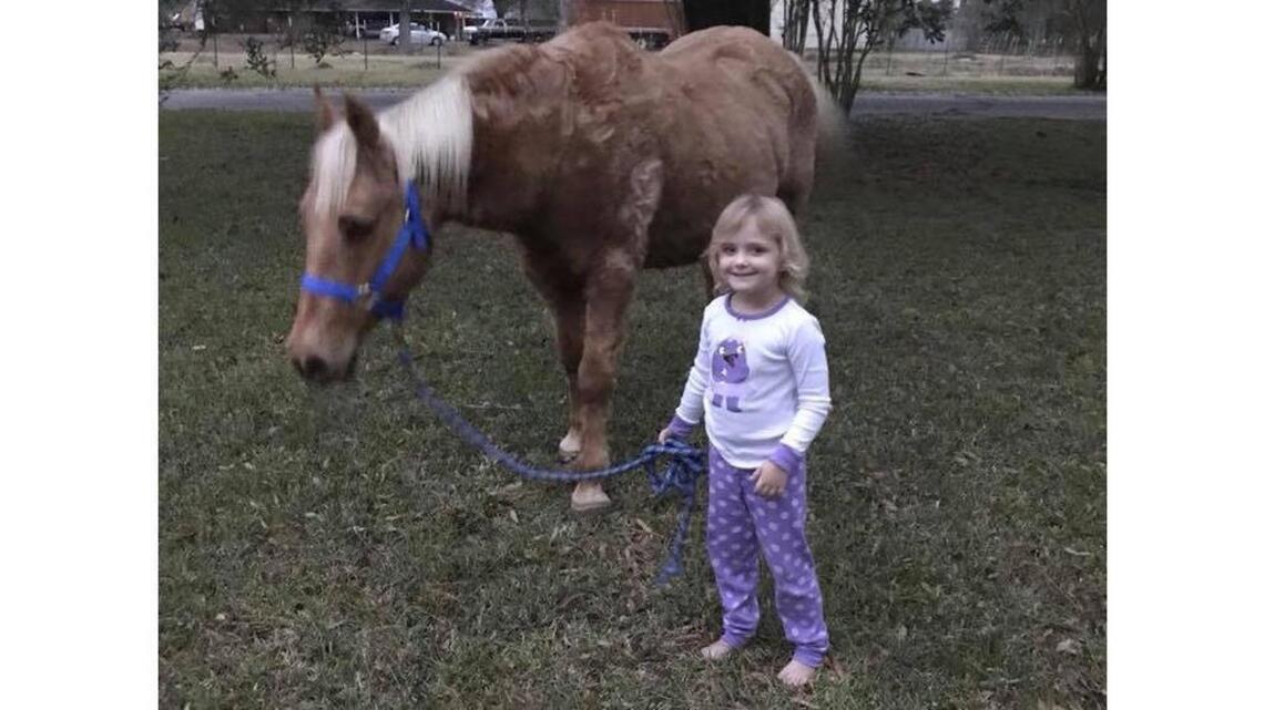 Texas horse murders leave two families begging for answers in Liberty ...